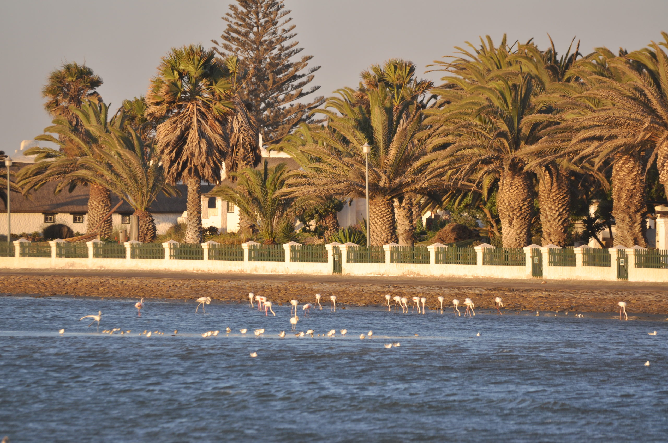 Walvisbaai - Startpagina Namibie